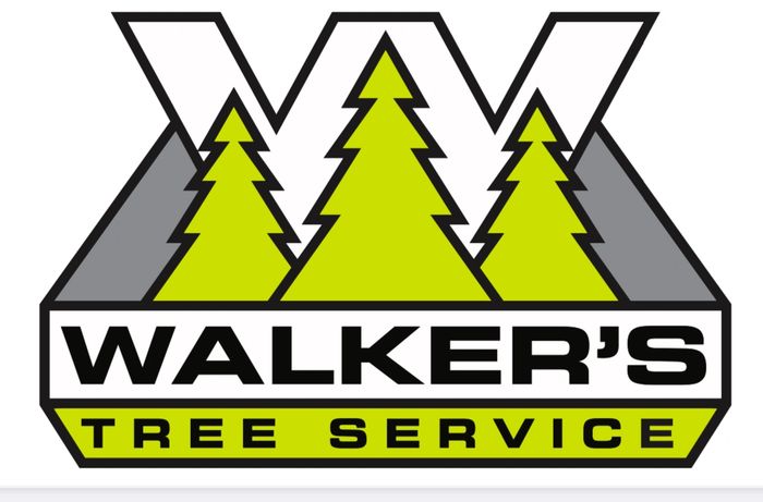 Professional Tree Removal Services | Walker's Tree Service